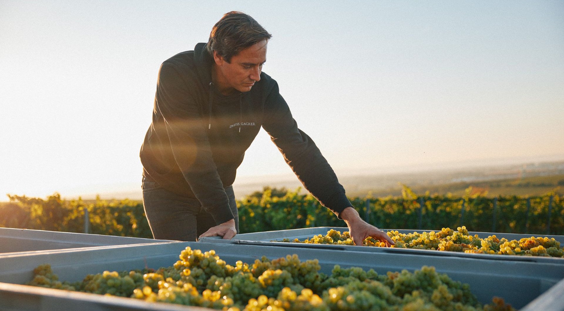 Jochen Dreissigacker: “Rheinhessen is a playground for all terroir wine ...