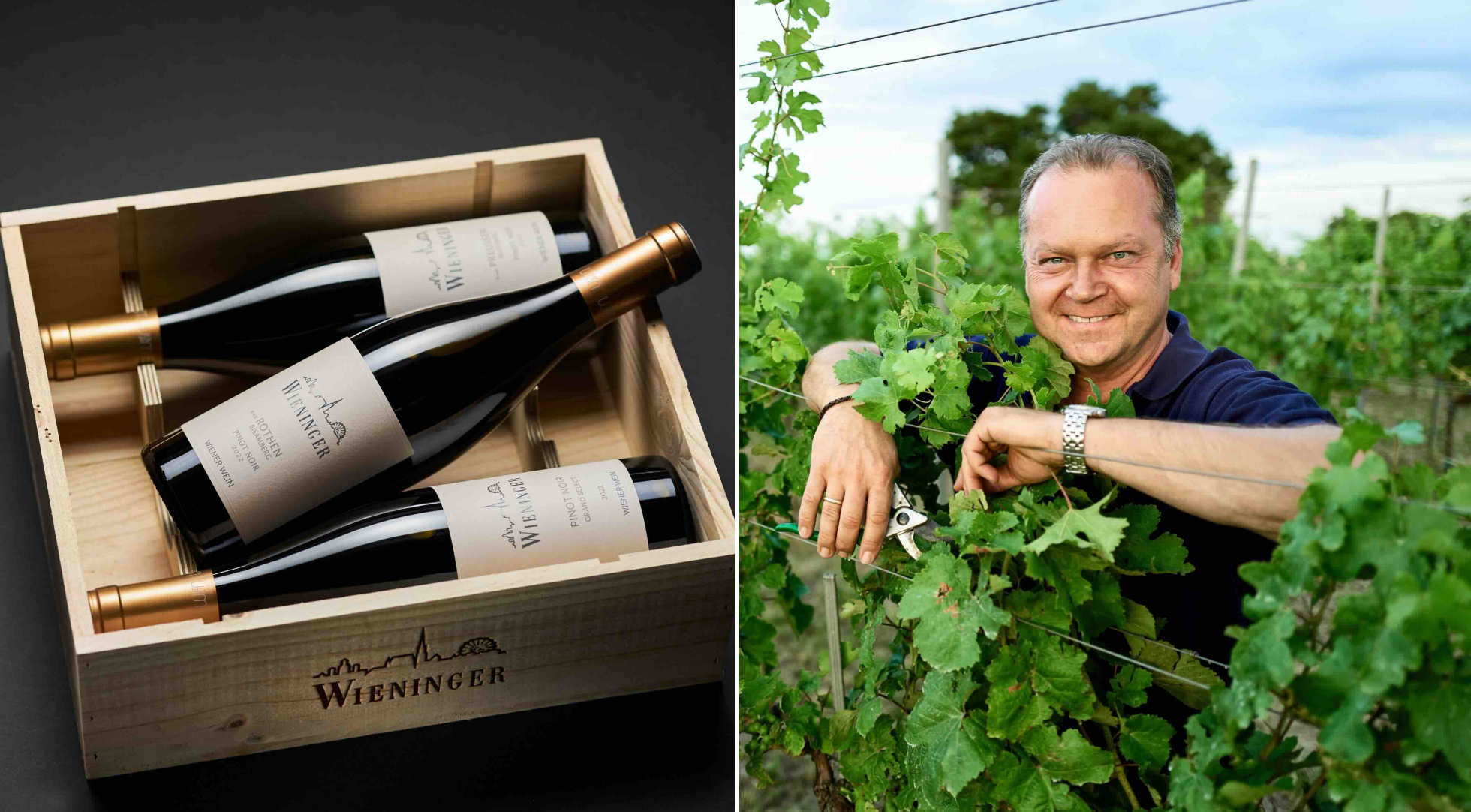 Fritz Wieninger: “Viennese people hate sweetness in wine and so do I ...