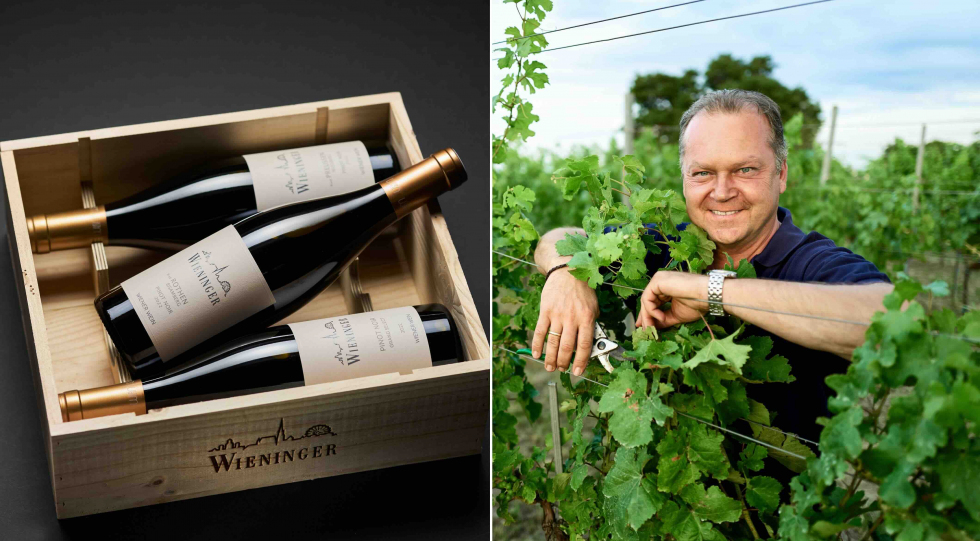 Fritz Wieninger: “Viennese people hate sweetness in wine and so do I ...