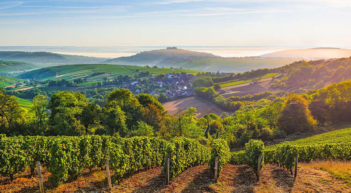 Enjoy wines from Centre-Loire in London - Ruth Spivey's selection ...