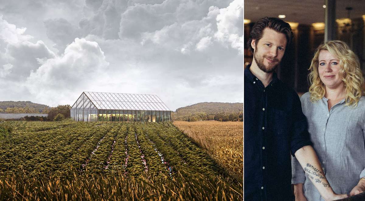 Swedish Michelin-restaurant ÄNG re-opens – with a new wine focus - Star ...