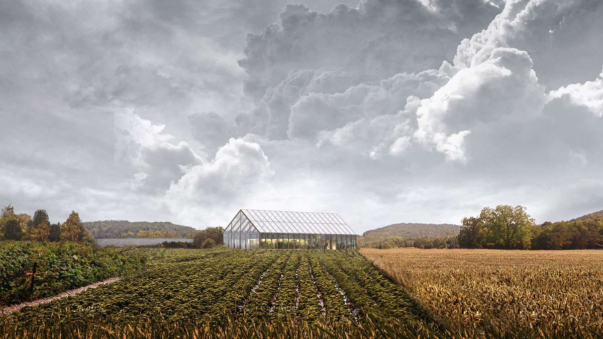 Swedish Michelin-restaurant ÄNG re-opens – with a new wine focus - Star ...