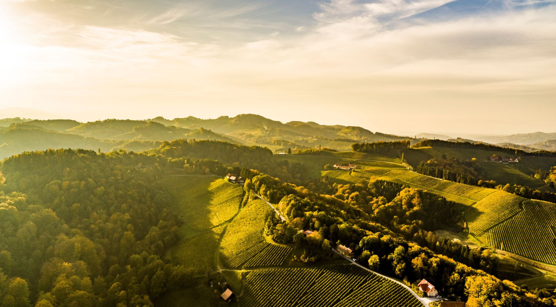 Premium Estates of Austria - Star Wine List